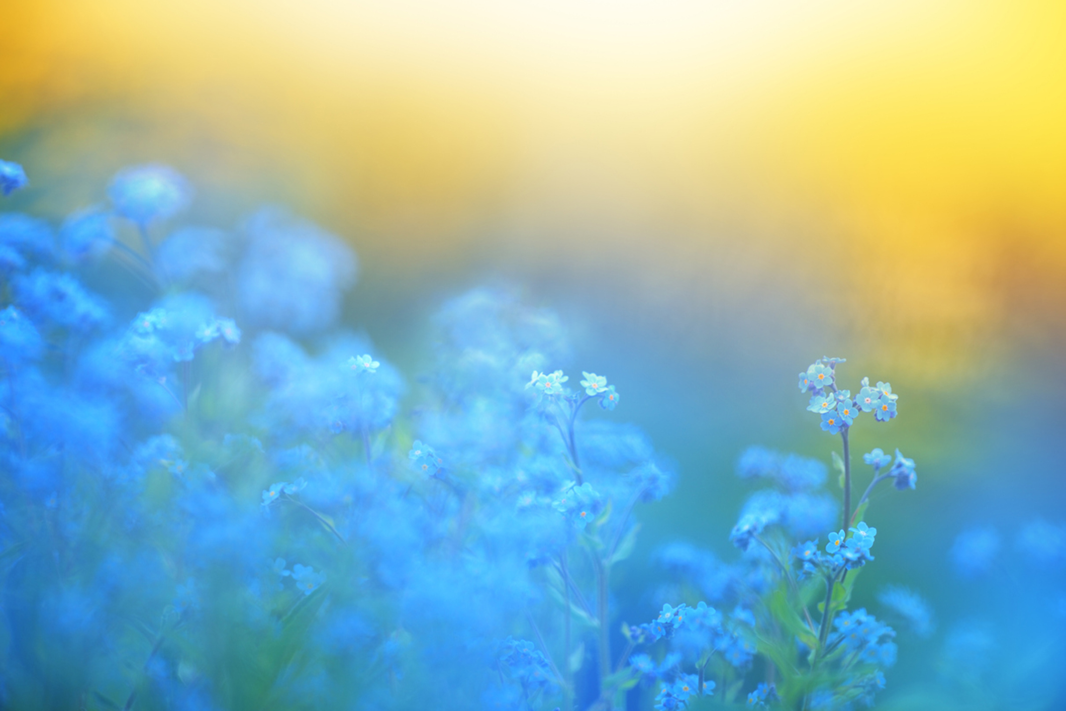 What your favorite color says about you - Azulon at Mesa Verde®